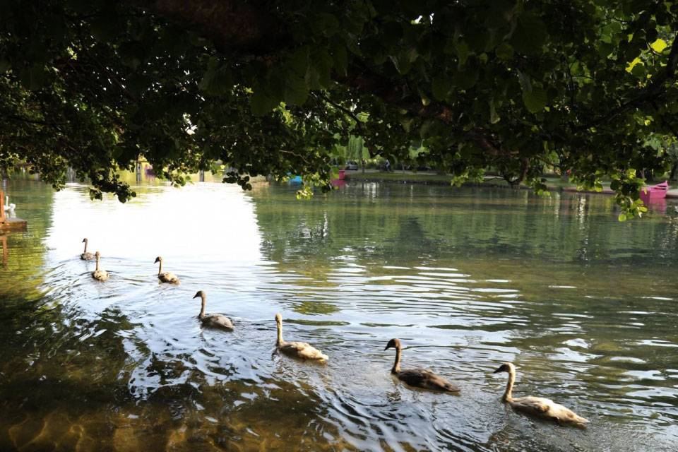 ELBASAN – POGRADEC – KORCE
